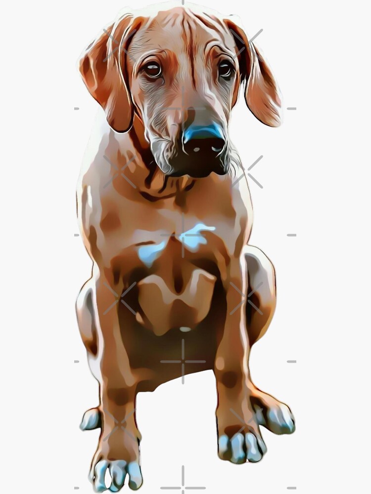 "Rhodesian Ridgeback" Sticker by NiftyTees | Redbubble