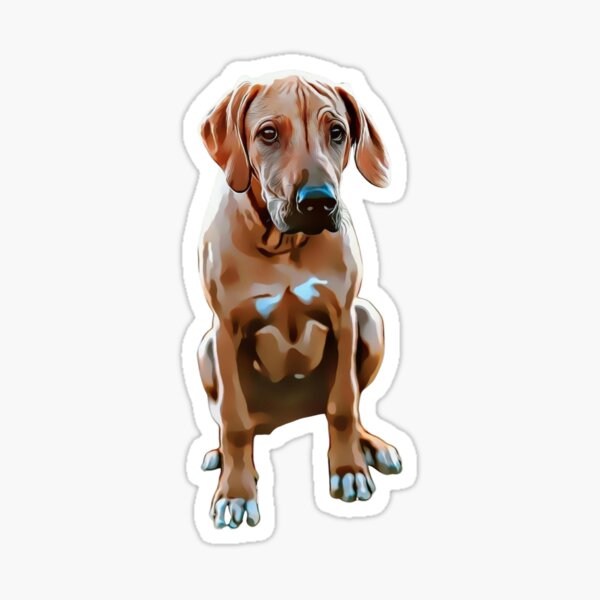 "Rhodesian Ridgeback" Sticker by NiftyTees | Redbubble