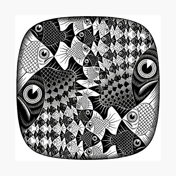 "The world of M.C. Escher, fish & scales" Photographic Print by ...