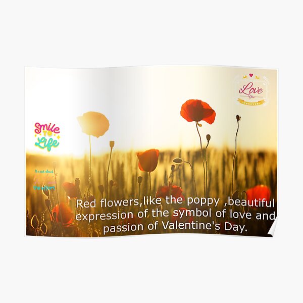 Póster «Flores rojas, como la amapola, la amapola, hermosa expresión ...