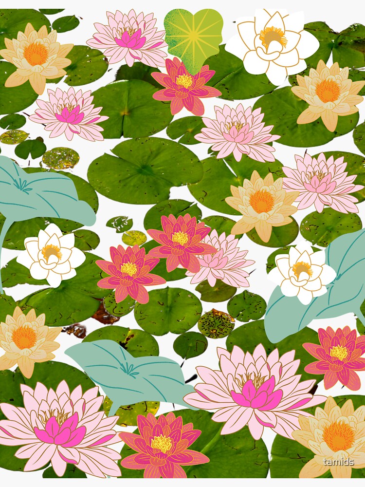 "Lilly Pond - Floral profusion" Sticker by tamids | Redbubble