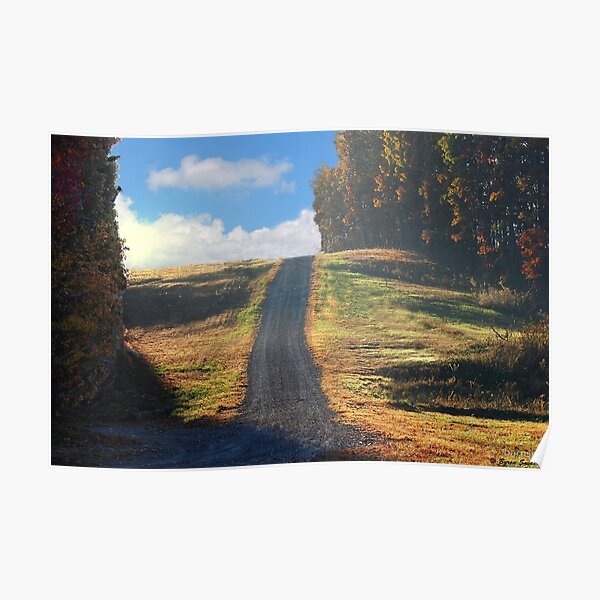 "Sometimes!!" Poster for Sale by barnsis | Redbubble