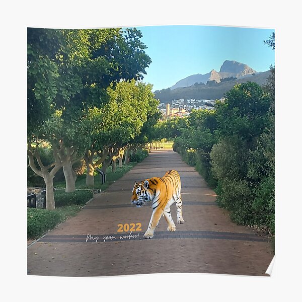 "Tiger on a walkway" Poster by Angel-angie | Redbubble