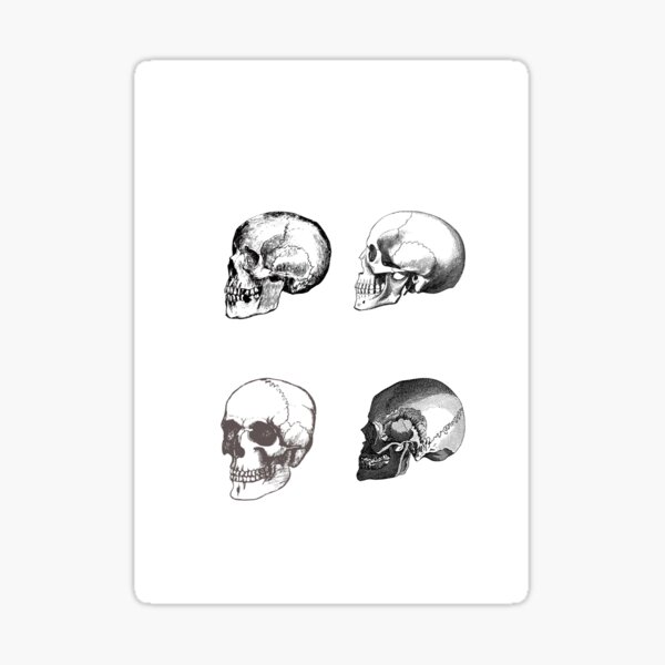 "Human skull" Sticker for Sale by Gopal765 | Redbubble