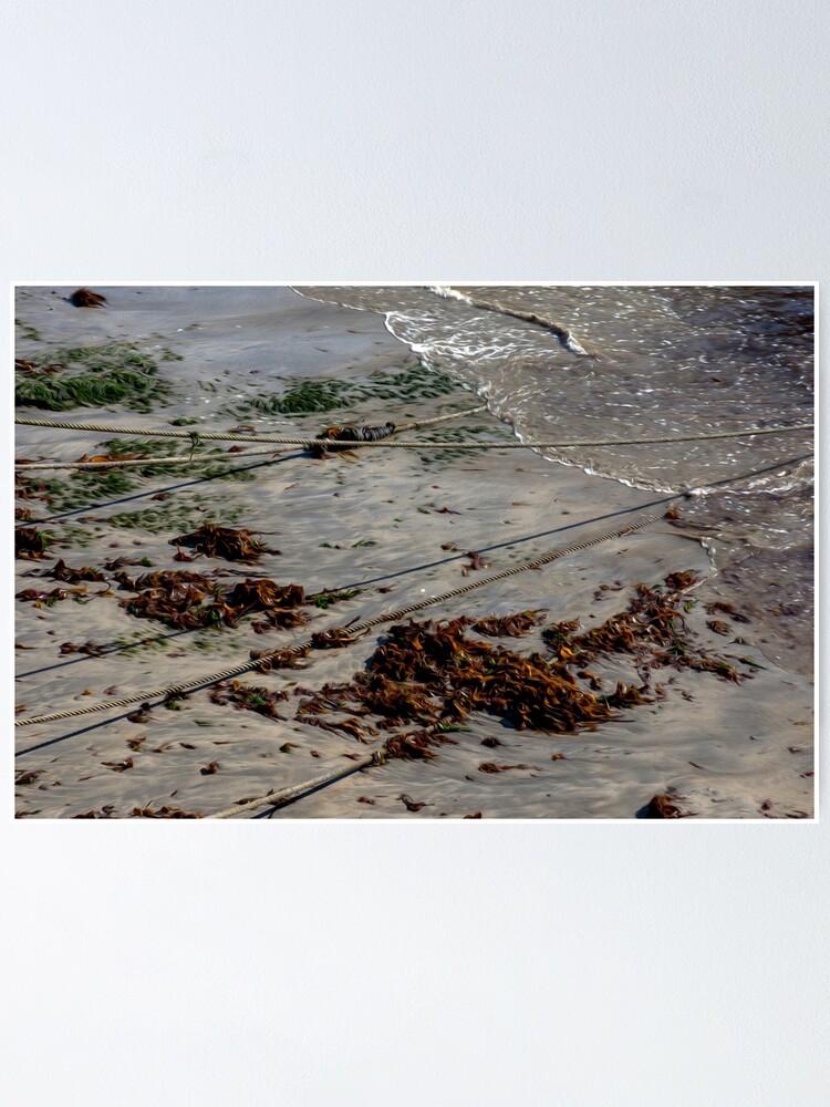 "Mooring ropes connect land and sea" Poster for Sale by TerenceKerr ...