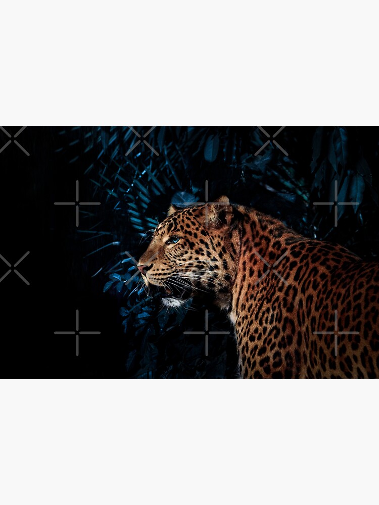 "Amur leopard" Sticker for Sale by Davamandine | Redbubble