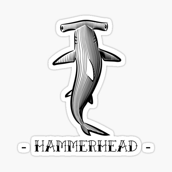 "Hammerhead Shark " Sticker by FINNBROS | Redbubble