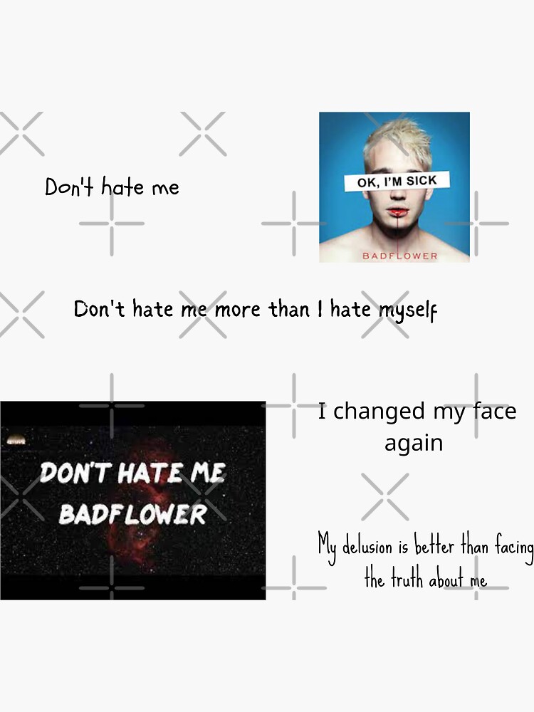 "Badflower Lyrics & Logo Sticker/Magnet VALUE Pack #2" Sticker for Sale ...