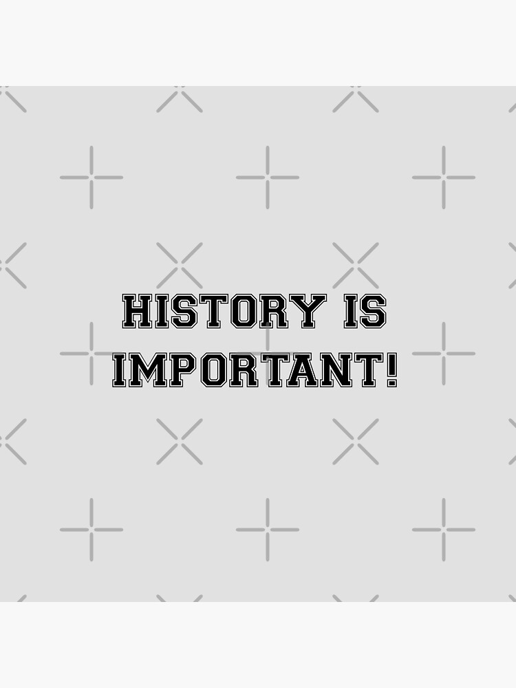"History is Important " Pin for Sale by spottedhound | Redbubble