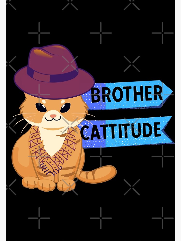"BROTHER CATTITUDE - Funny Cat Pictures with cat sayings and captions ...