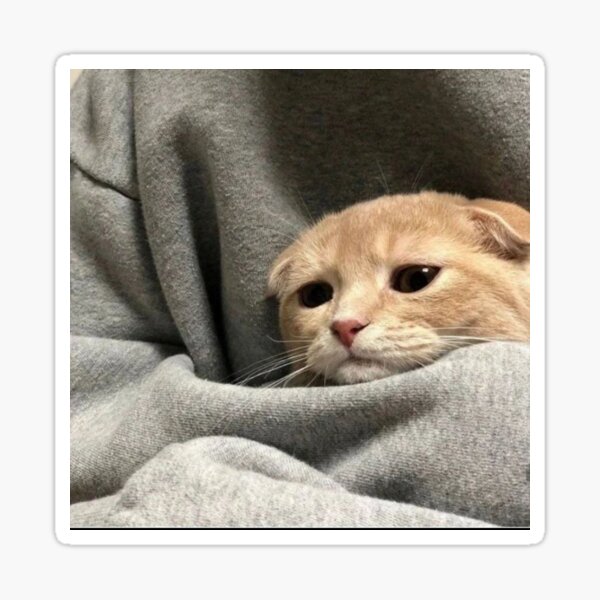"sad cute cat | kawaii cat" Sticker by jassine11 | Redbubble