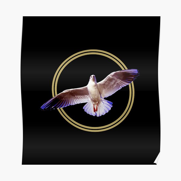 "Pigeon for peace" Poster by Malik-Designs | Redbubble