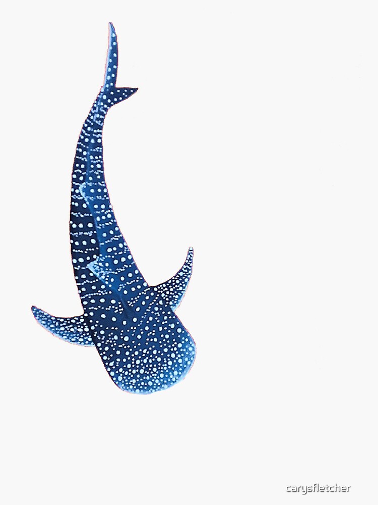 "Whale Shark" Sticker by carysfletcher | Redbubble