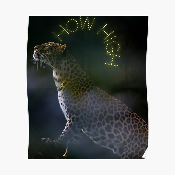 "How high" Poster for Sale by Asimkhan | Redbubble