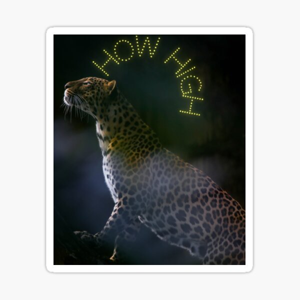 "How high" Sticker by Asimkhan | Redbubble