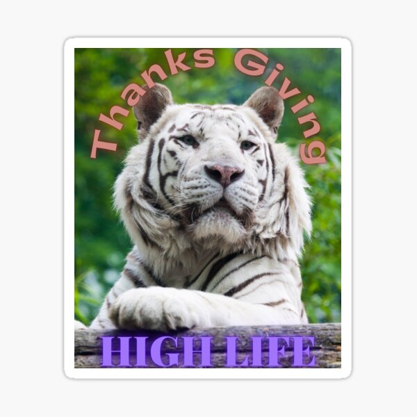 "Thanks giving high life" Sticker by Asimkhan | Redbubble