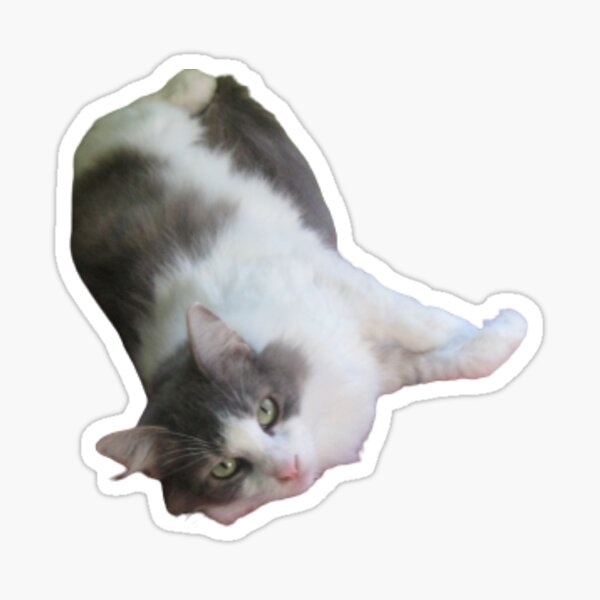 "Fluffy cat" Sticker by KLizzle88 | Redbubble