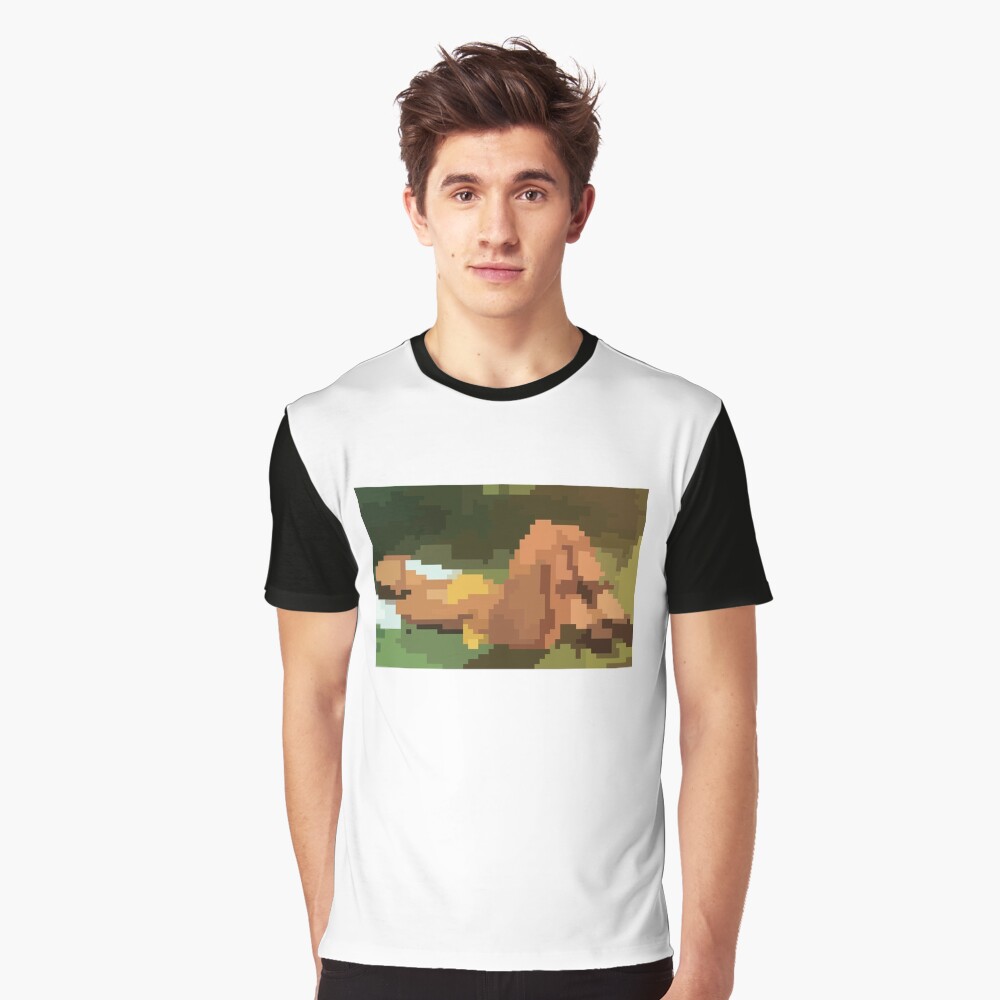 "A girl lying on the grass (erotic pixel art)" Poster for Sale by Buldakov | Redbubble