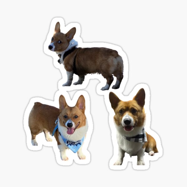 "Corgi Sticker Pack #1" Sticker by ChallengesSide | Redbubble