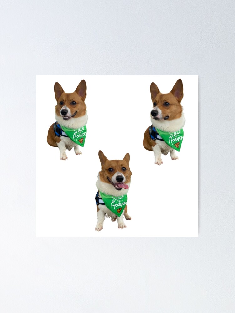 "Corgi Sticker pack #2" Poster for Sale by ChallengesSide | Redbubble