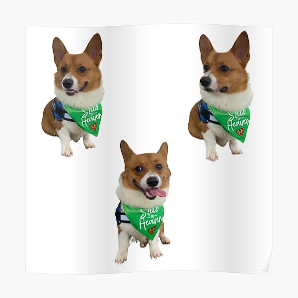 "Corgi Sticker pack #2" Poster for Sale by ChallengesSide | Redbubble