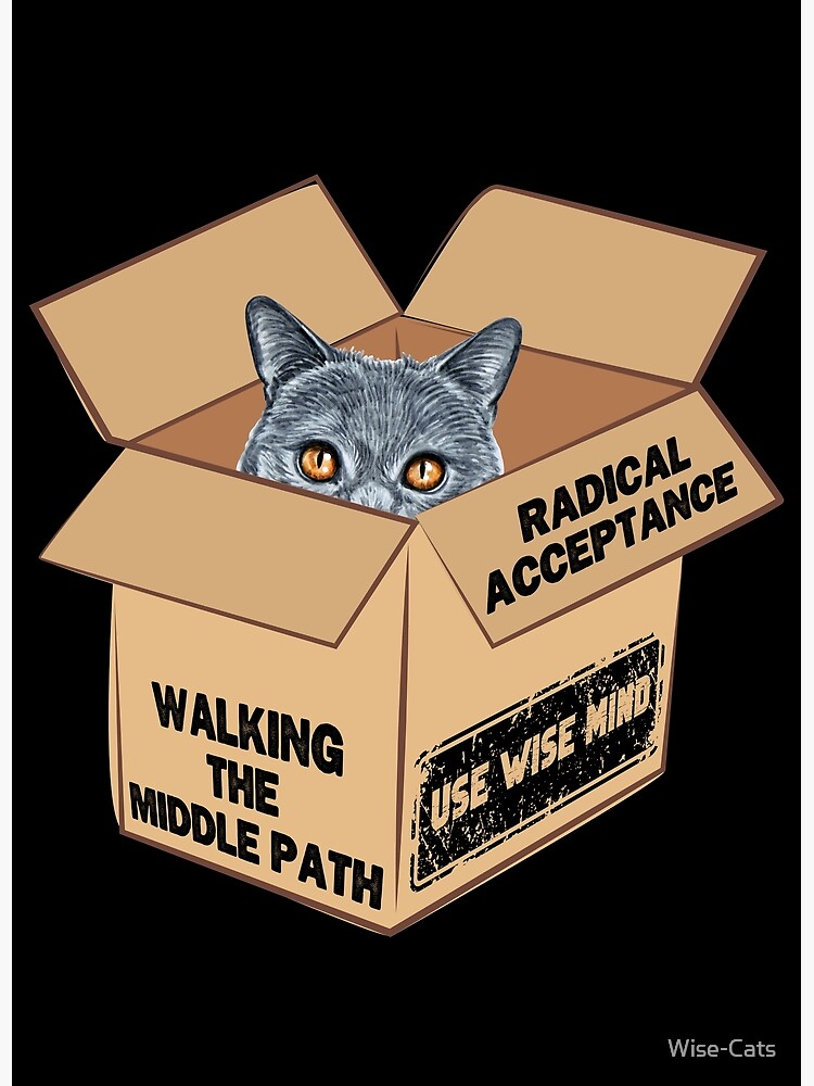 "Cat in a Box Collection. Look into my big brown eyes human, and DBT the shit out of it" Poster ...