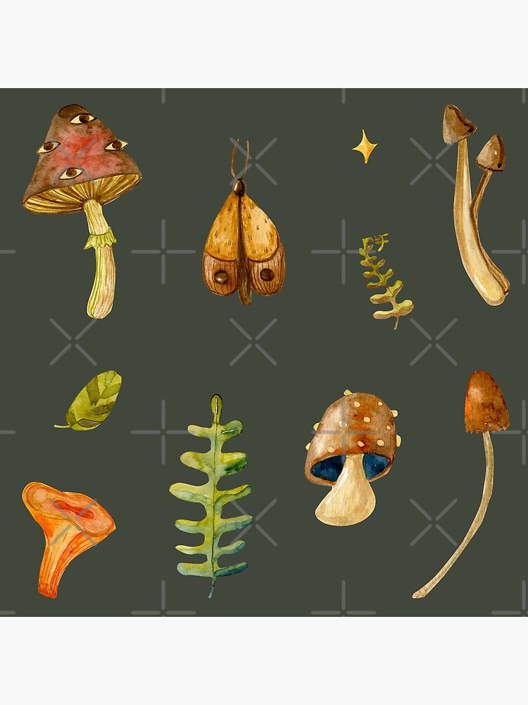 "Watercolor Mushrooms, Moth And Leaf, Whimsical Forest Cottagecore ...