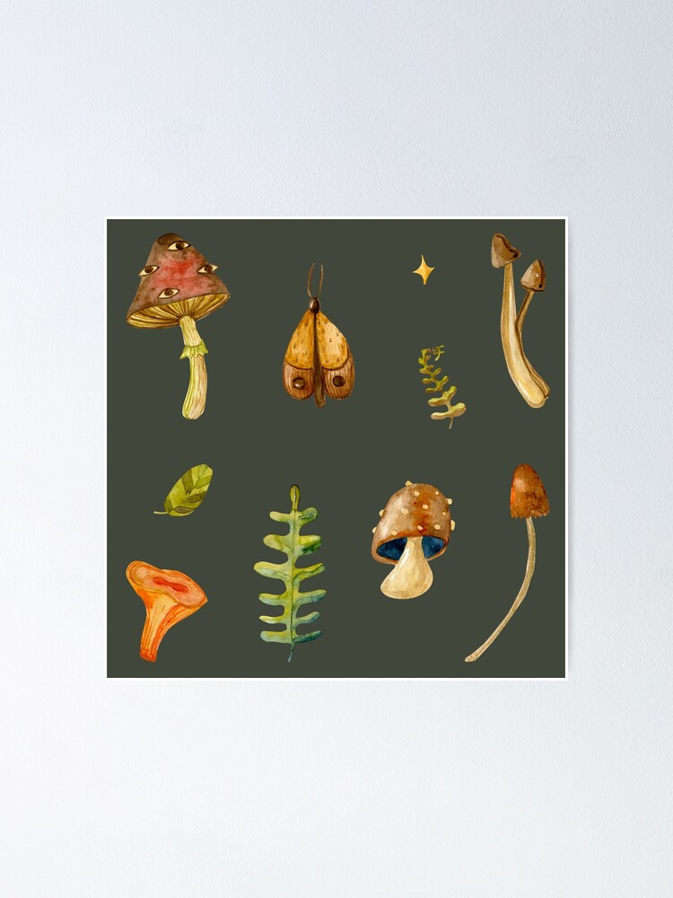 "Watercolor Mushrooms, Moth And Leaf, Whimsical Forest Cottagecore ...