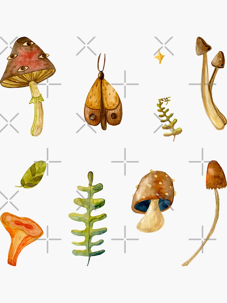 "Watercolor Mushrooms, Moth And Leaf, Whimsical Forest Cottagecore ...