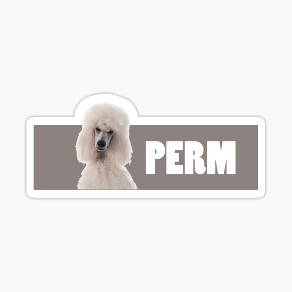 "4 letter dog - PERM" Sticker for Sale by carnabydesigns | Redbubble
