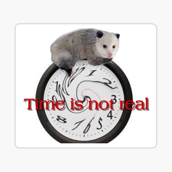 "Opossum says time is not real" Sticker by Rawron | Redbubble