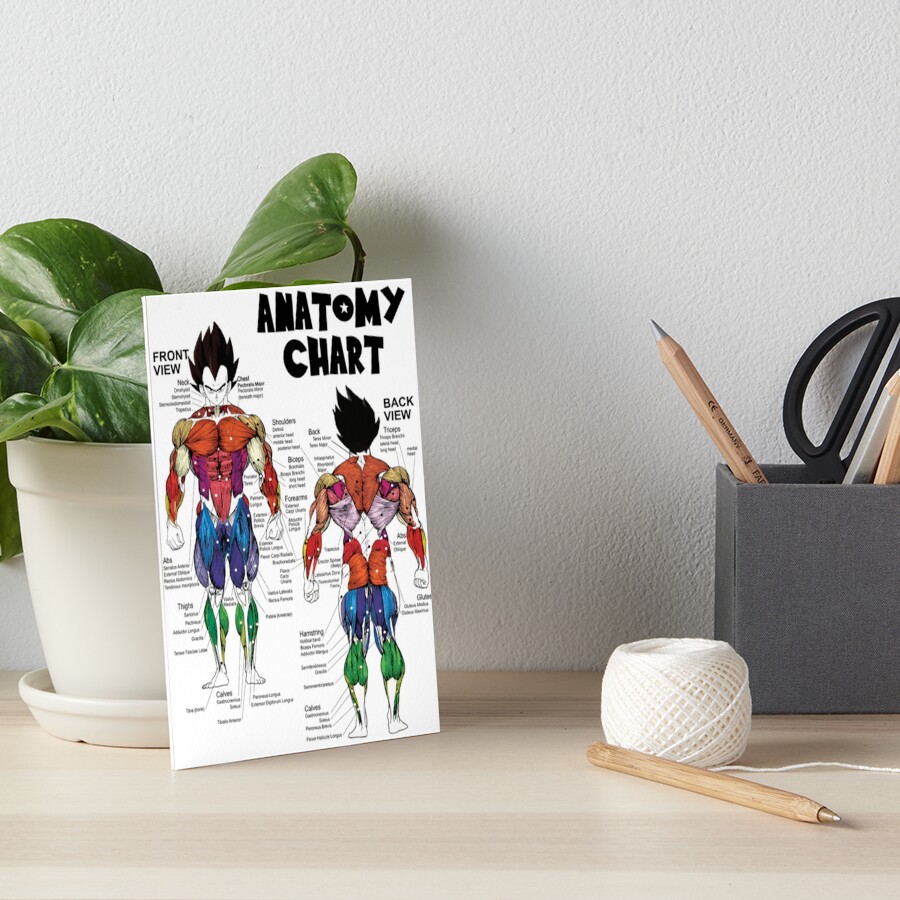"Vegeta Anatomy Chart" Art Board Print by HuongNhuStore | Redbubble