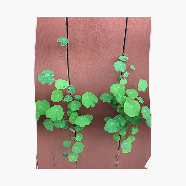 "Green breaking through" Poster for Sale by invaderchunk | Redbubble