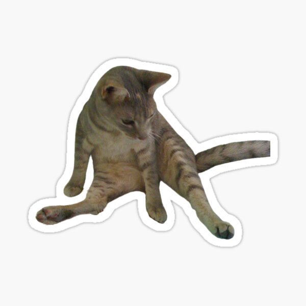 "Skinny sitting cat" Sticker by KLizzle88 | Redbubble