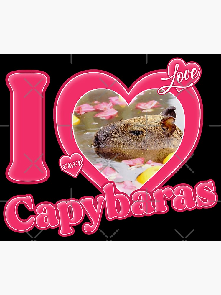 "i love capybaras" Photographic Print for Sale by PigSucculent | Redbubble