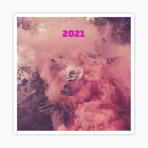 "2021" Sticker by gabstargabstar | Redbubble