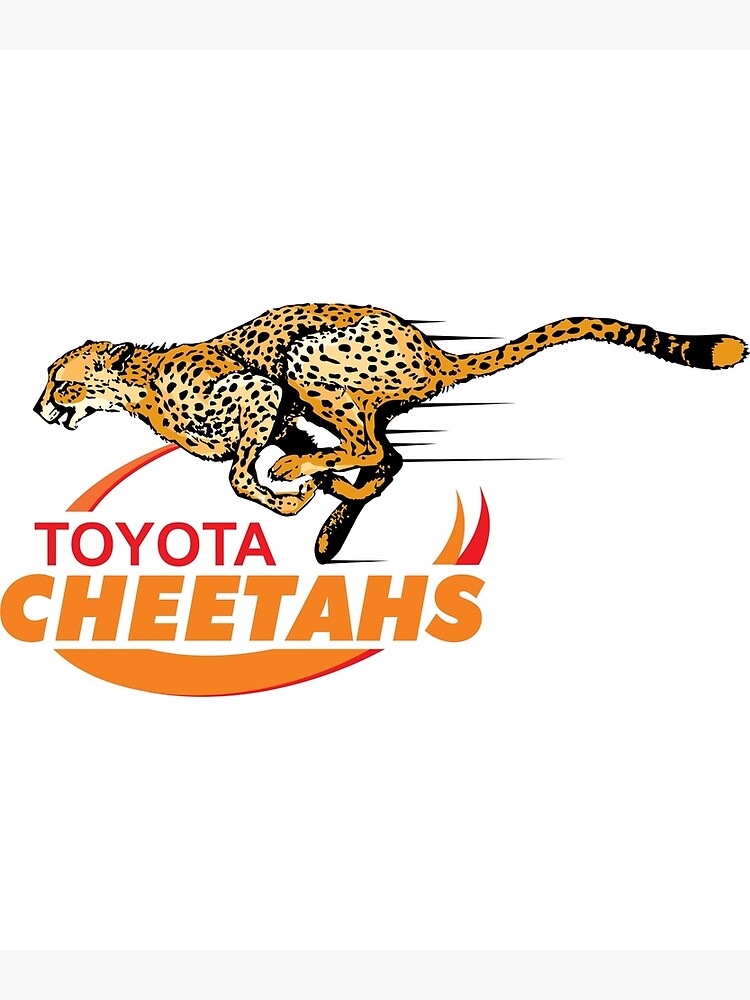 "Cheetahs Rugby Football Club Logos" Poster for Sale by fumiooic ...