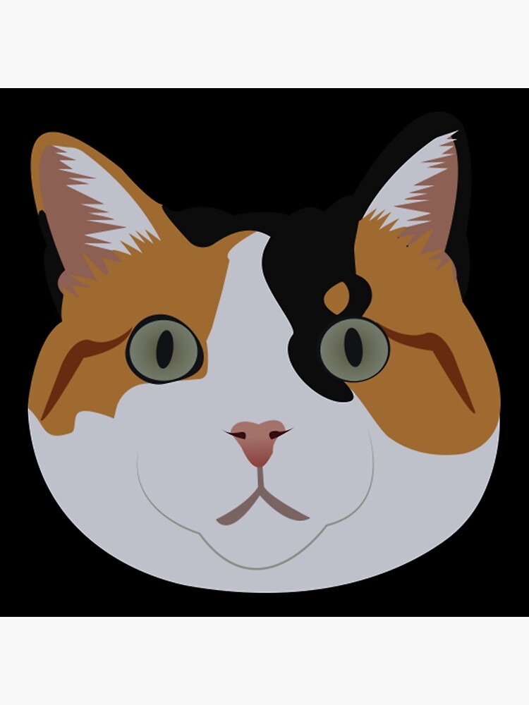 "Cheeto The Calico Cat" Poster for Sale by Svyatoslavovich | Redbubble
