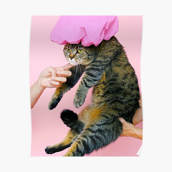 "fluffy model" Poster for Sale by MikhailChips | Redbubble