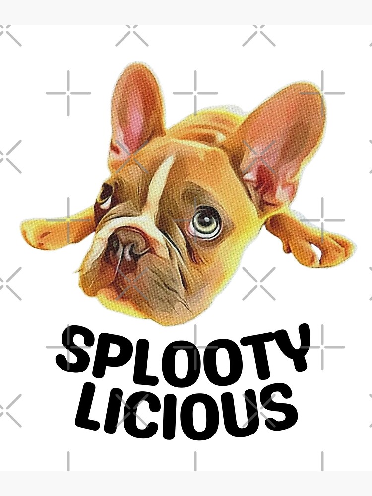 "Splooty-licious Frenchie - Splooting Golden Brown French Bulldog Puppy ...