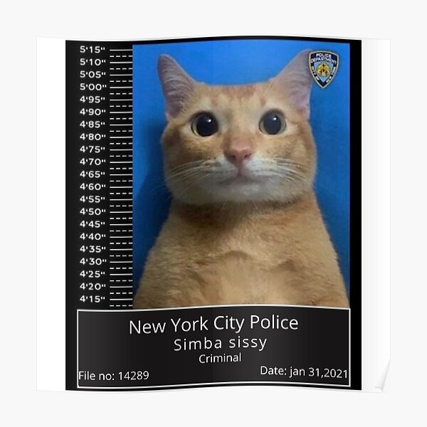 "serial killer & criminal cat | kawaii cat" Poster for Sale by ...