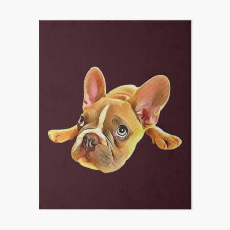 "Splooty-licious Frenchie - Splooting Golden Brown French Bulldog Puppy ...