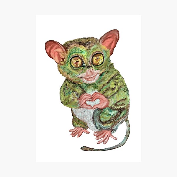 "Philippine Tarsier Portrait (Soft Pastel Painting) " Photographic ...
