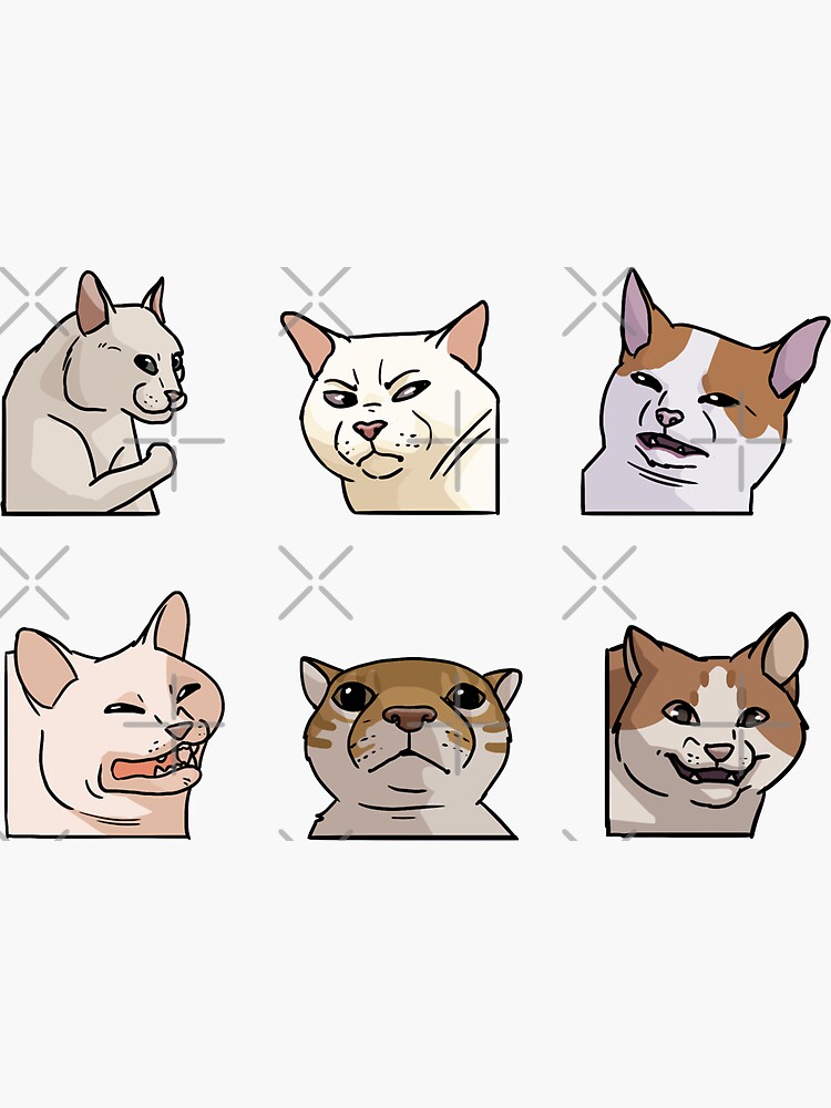 "Cat reaction memes " Sticker by Aldrova | Redbubble