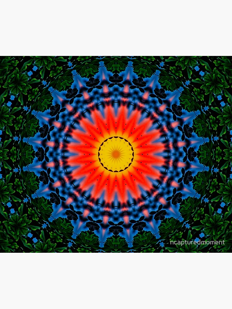 "Sunset Trees mirror abstract art" Poster for Sale by ncapturedmoment ...