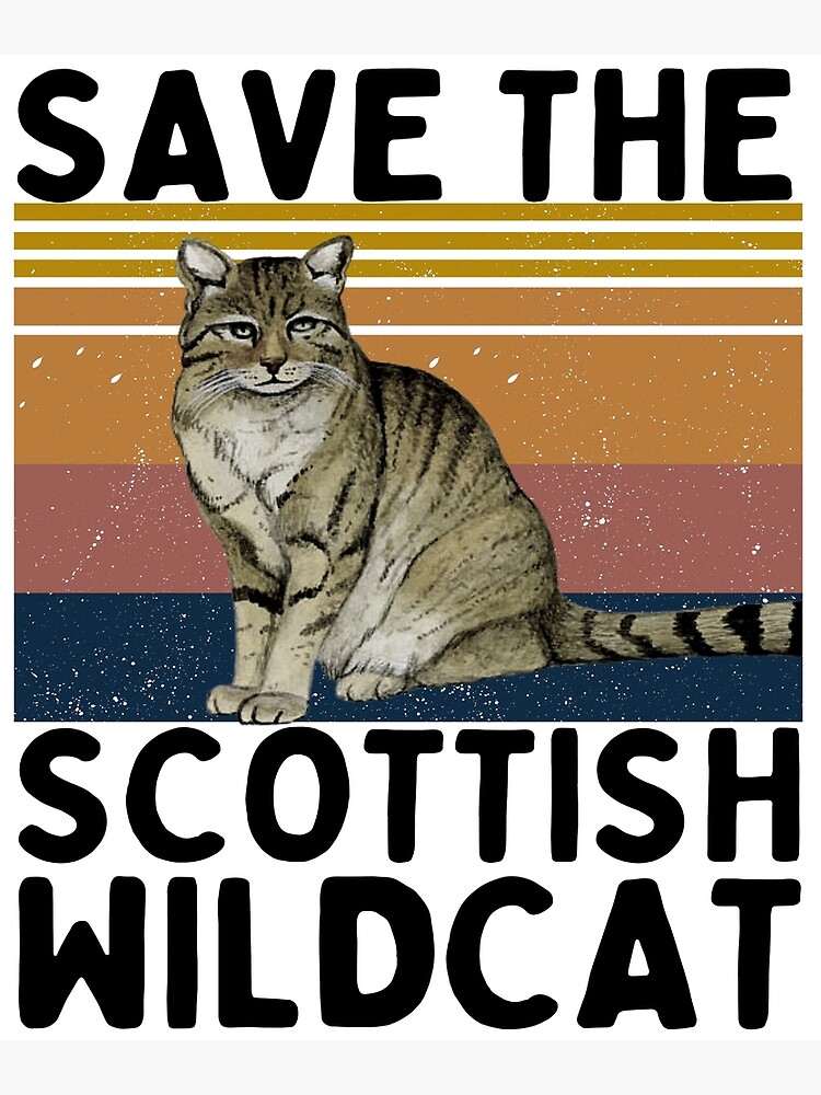 "Save The Scottish Wildcat" Poster for Sale by mathonshirts | Redbubble