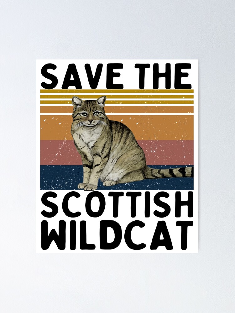 "Save The Scottish Wildcat" Poster for Sale by mathonshirts | Redbubble
