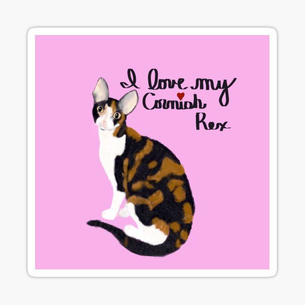 "I love my Cornish Rex Cat" Sticker for Sale by Bd1313 | Redbubble