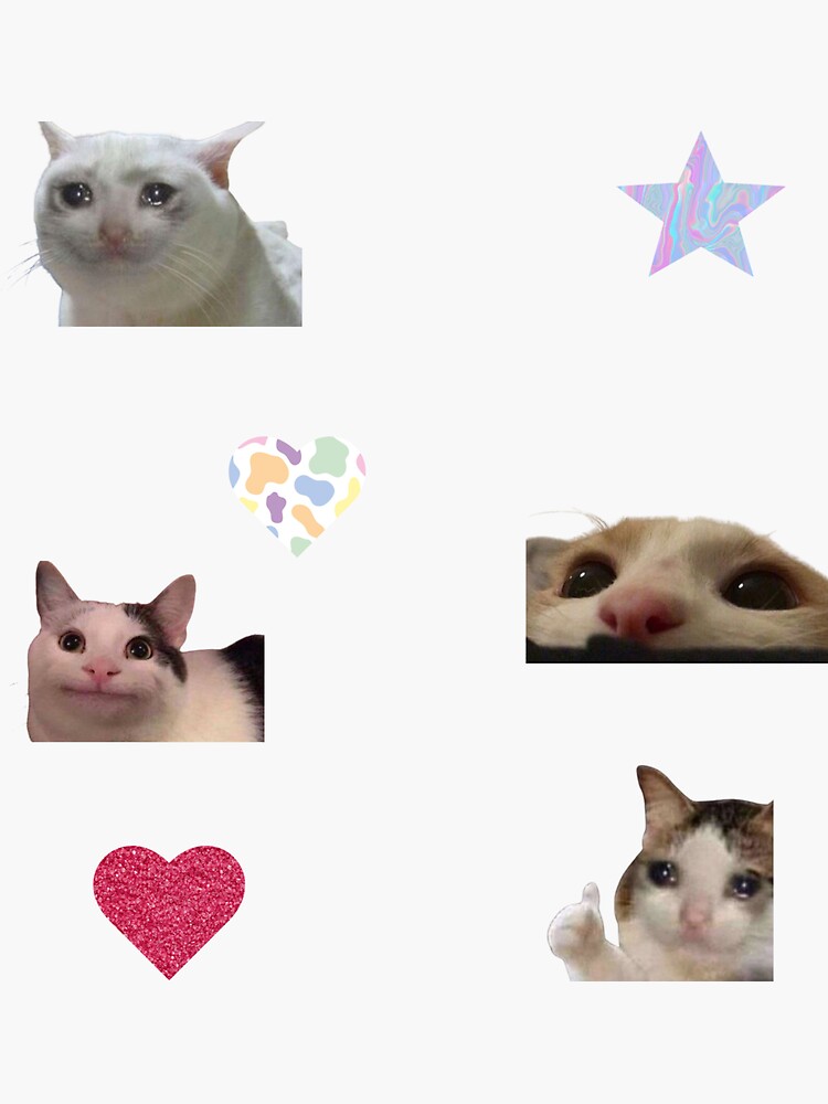 "cat meme sticker pack" Sticker by Krishangdavda | Redbubble
