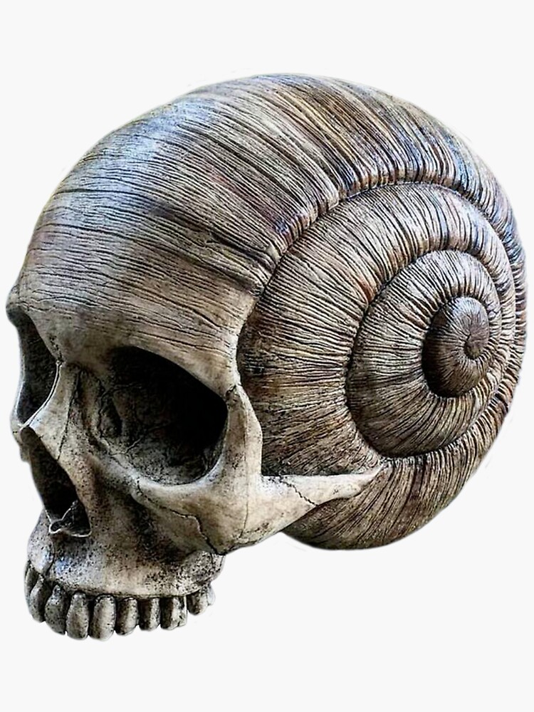 "SKULL SHELL" Sticker for Sale by SkullsDesigns | Redbubble